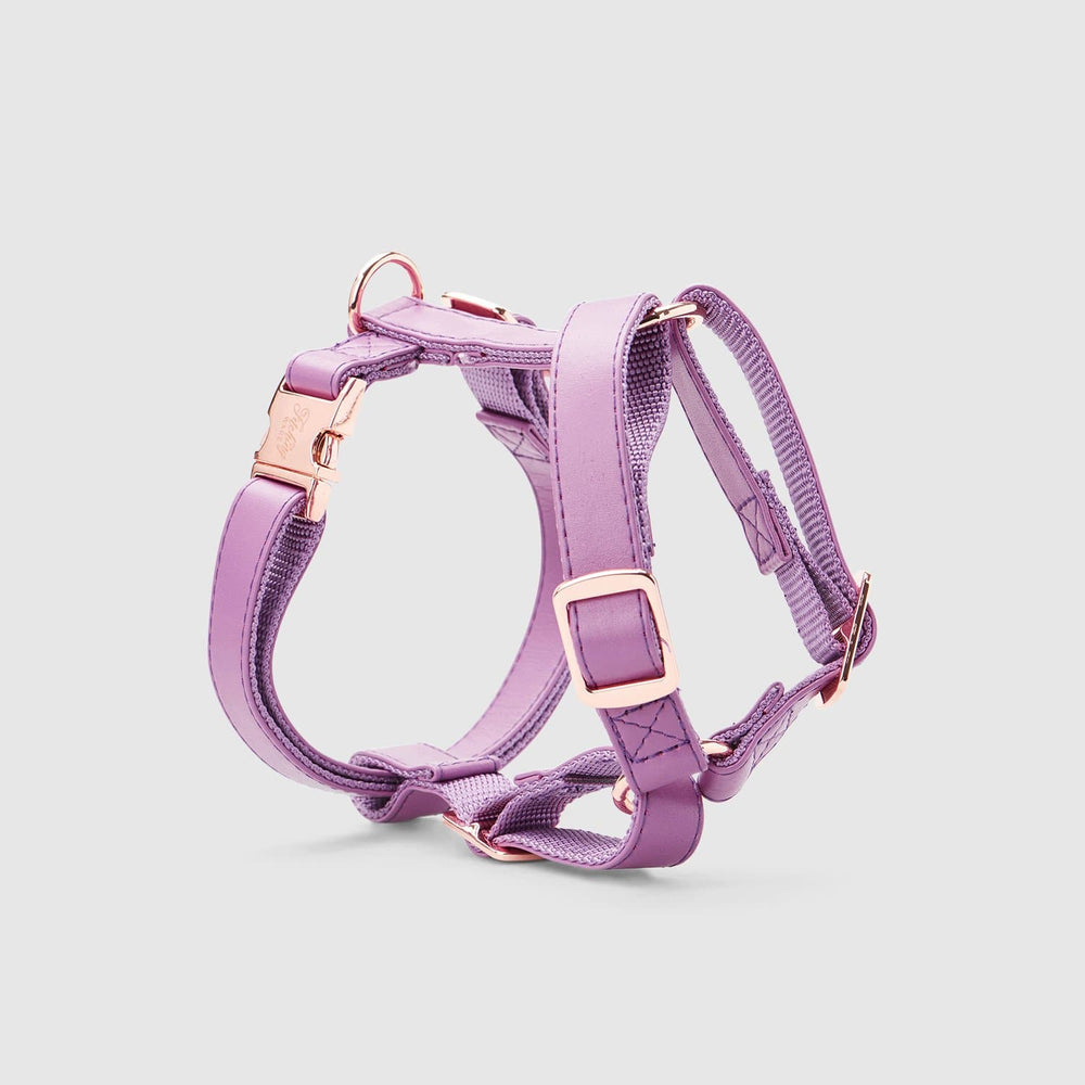 Designer Dog Harness | Adjustable Purple Pet Harness | Rose Gold ...