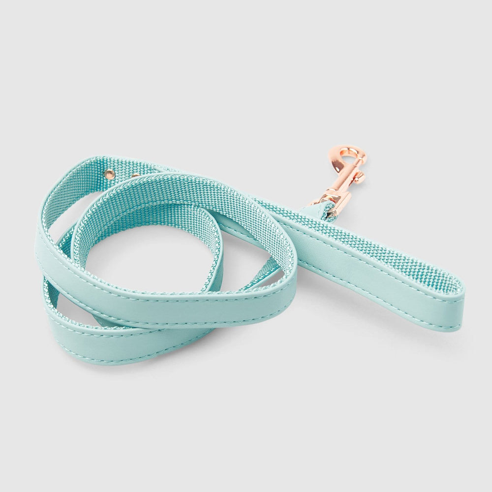 Capri Dog or Cat Lead w/ Rose Gold | Turquoise Pet Leash - Fetching Ware