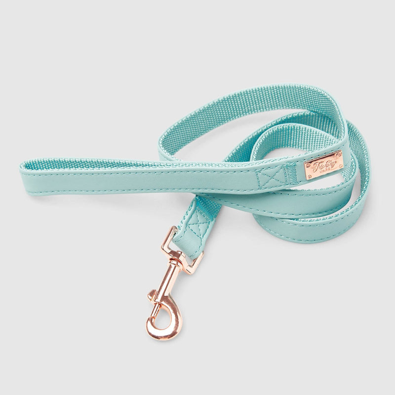 Capri Dog or Cat Lead w/ Rose Gold | Turquoise Pet Leash - Fetching Ware