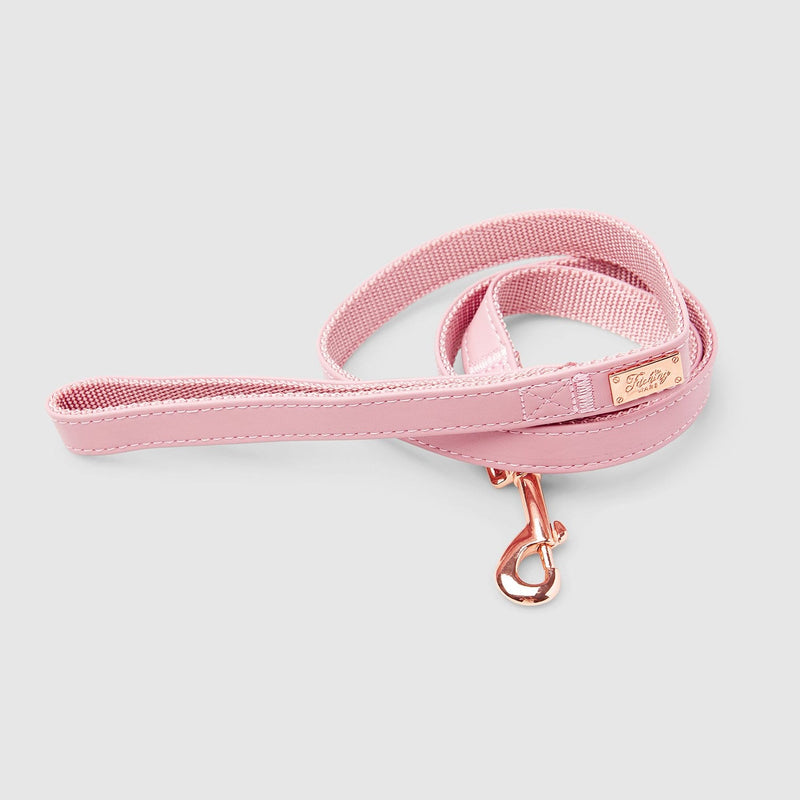 Rosa Dog or Cat Lead w/ Rose Gold | Pink Pet Leash - Fetching Ware