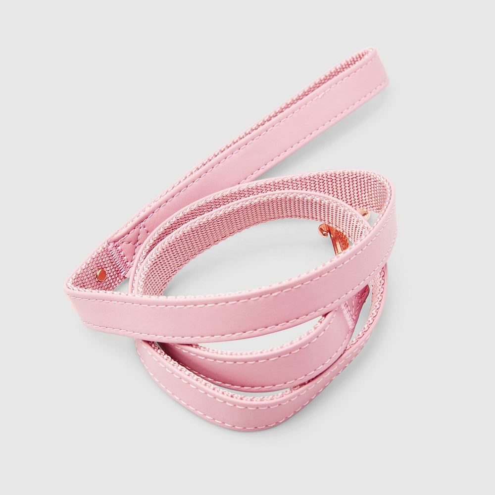 Rosa Dog or Cat Lead w/ Rose Gold | Pink Pet Leash - Fetching Ware